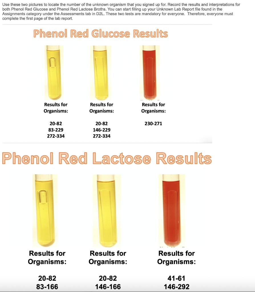TSIA Test: *Complete this table ONLY if you need it | Chegg.com
