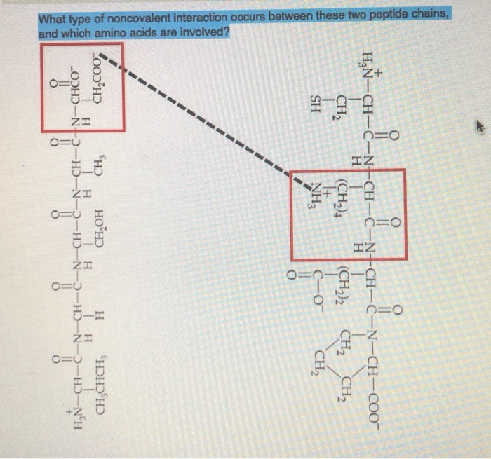Solved at type of noncovalent interaction occurs between | Chegg.com