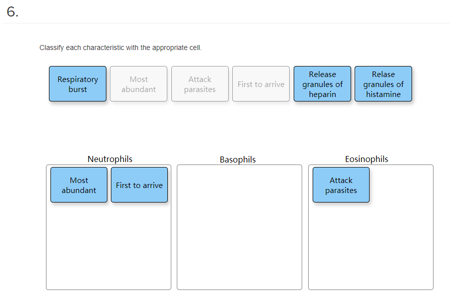 Solved 6. Classify each characteristic with the appropriate | Chegg.com