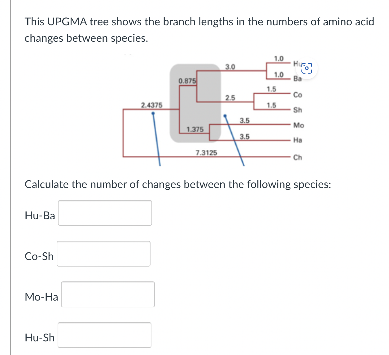 Solved This UPGMA tree shows the branch lengths in the | Chegg.com
