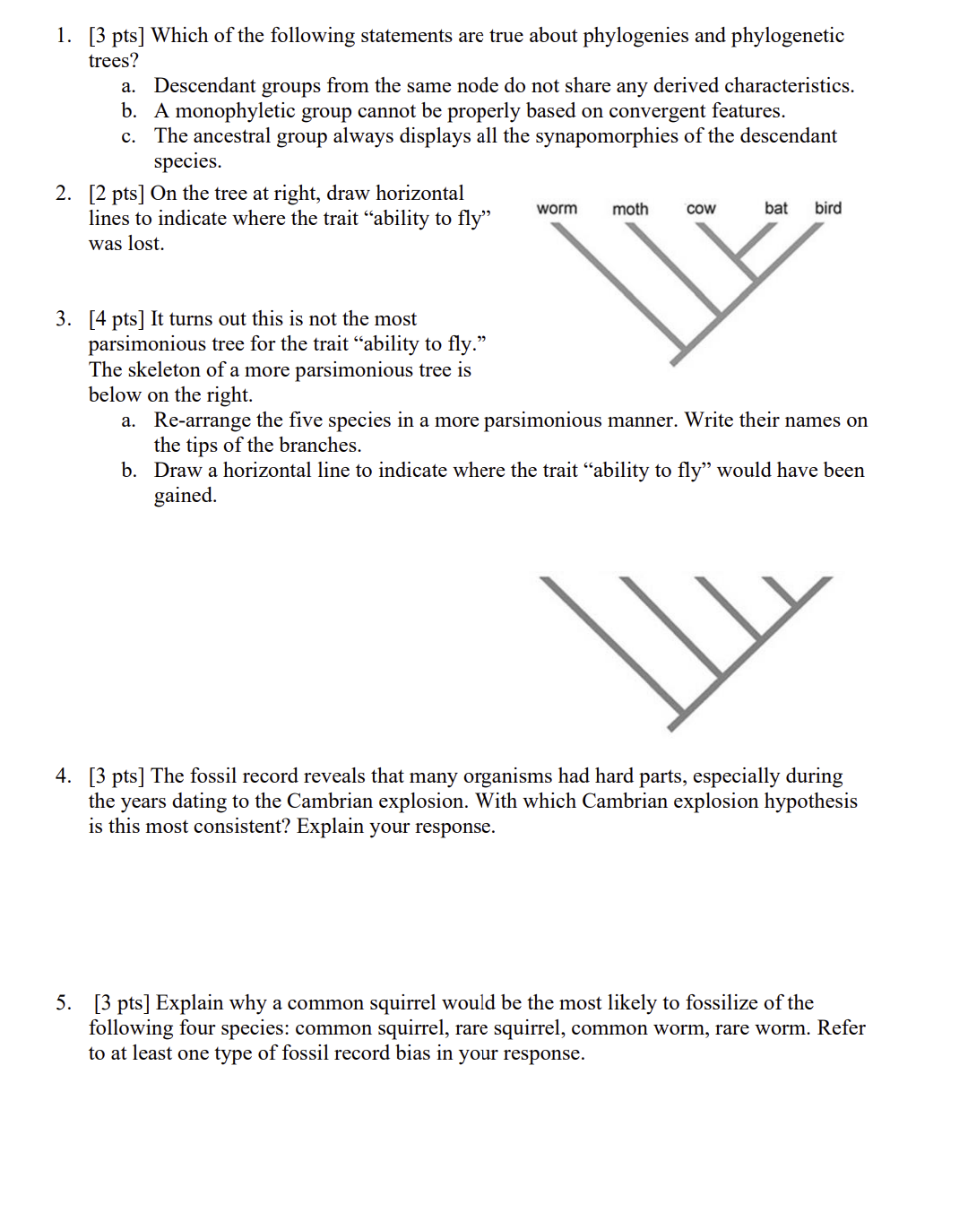 Solved [3 ﻿pts] ﻿Which of the following statements are true | Chegg.com
