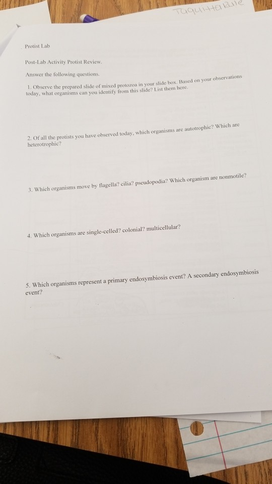 Protist Lab Post-Lab Activity Protist Revievw Answer | Chegg.com