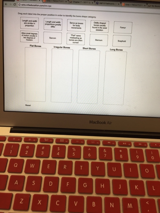 Solved Drag each label into the proper position in order to | Chegg.com