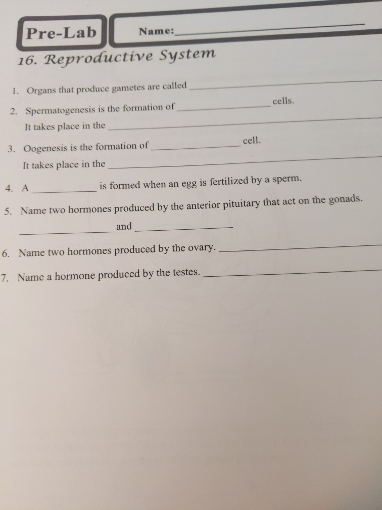 Solved Pre-Lab Name: 16. Reproductive System Organs that | Chegg.com