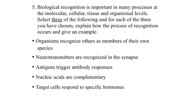 Solved Biological recognition is important in many processes | Chegg.com