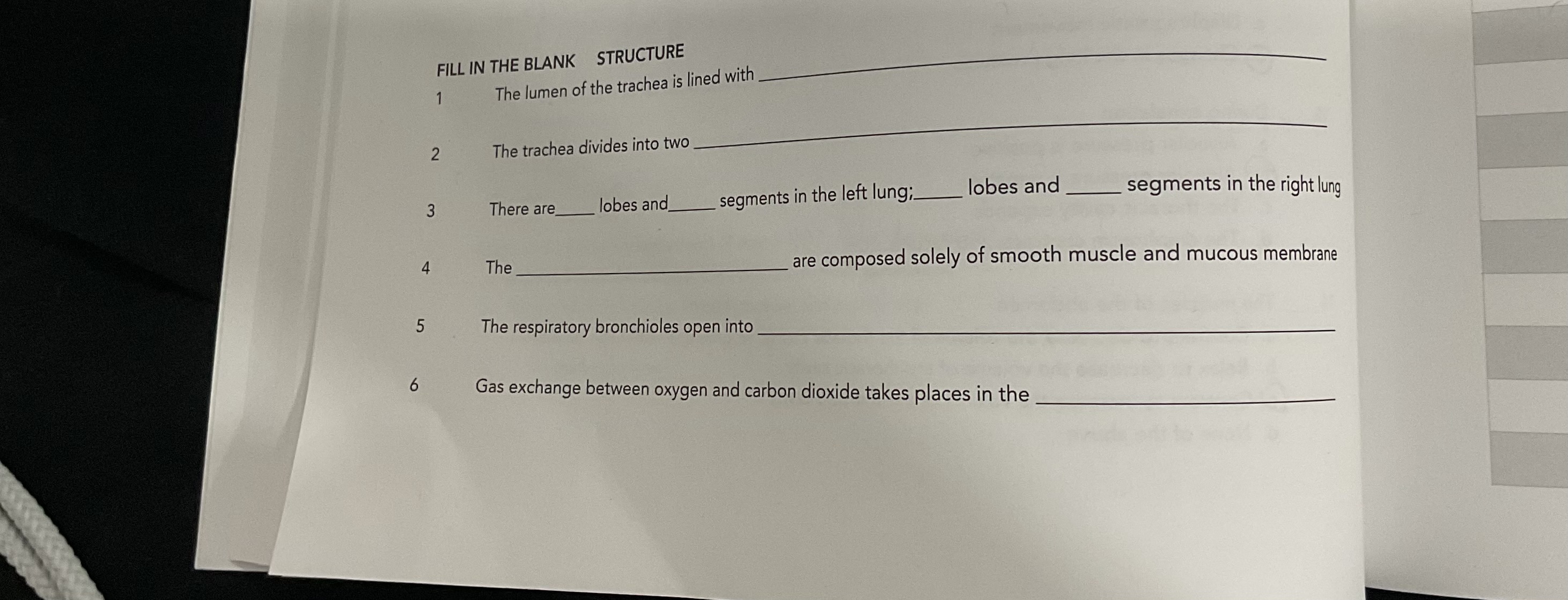 Solved FILL IN THE BLANK STRUCTURE 1 The lumen of the | Chegg.com