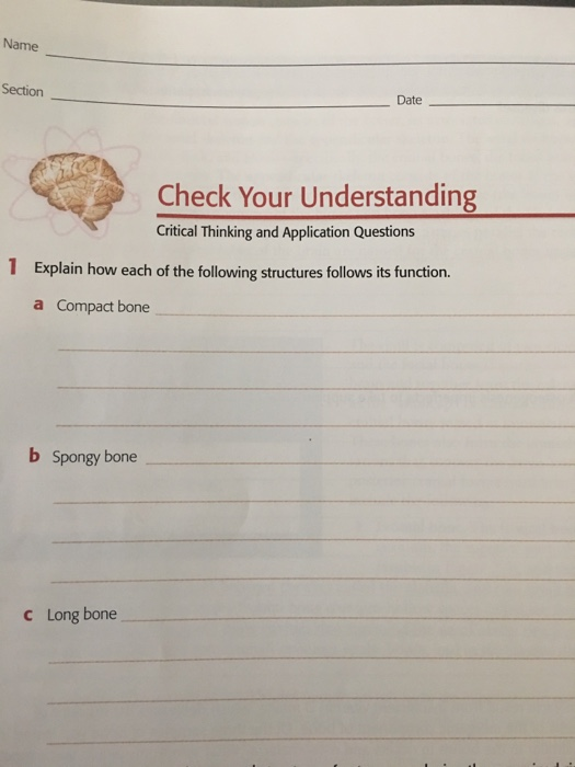 Solved Name Section Date Check Your Understanding Critical | Chegg.com