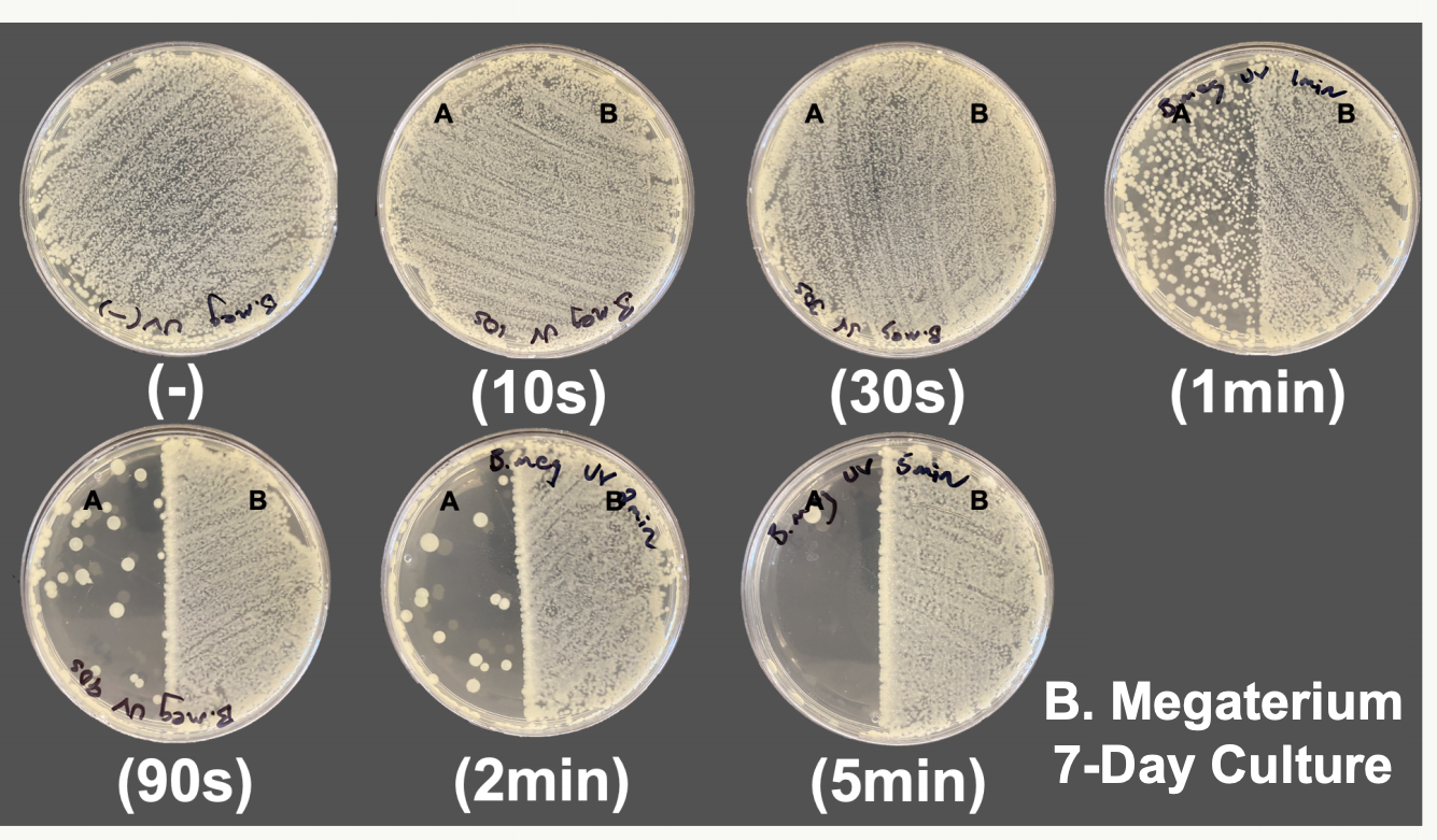Solved 1 Enter your class data in the table below using the | Chegg.com