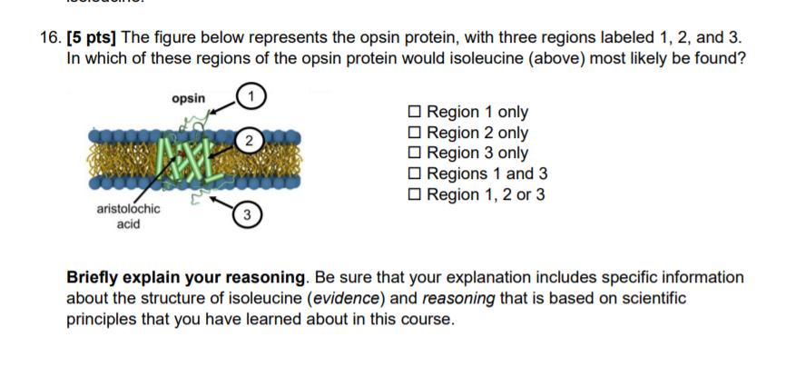 Solved 16. [5 pts] The figure below represents the opsin | Chegg.com