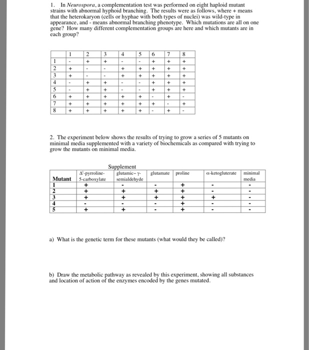 Solved 1. In Neurospora, a complementation test was | Chegg.com