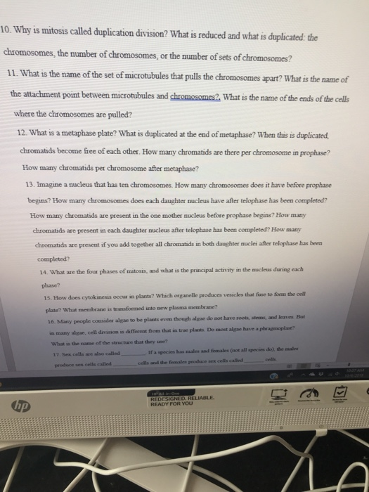 Solved 10. Why is mitosis called duplication division? What | Chegg.com