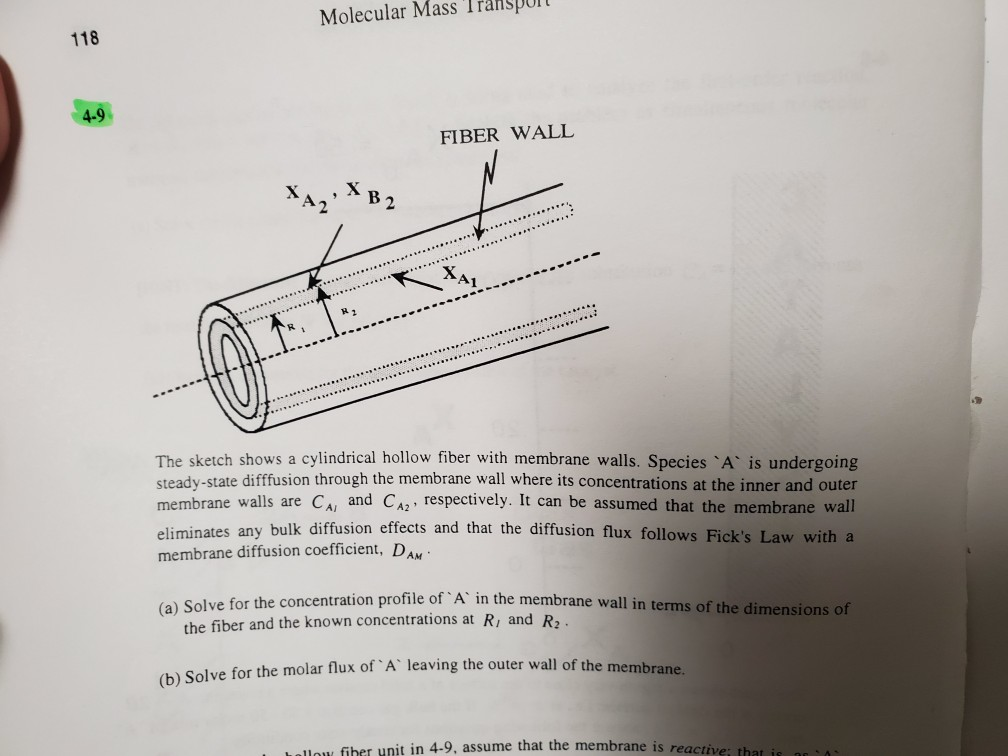 Solved Molecular Mass Transpoll 118 4-9 FIBER WALL X B 2 The | Chegg.com