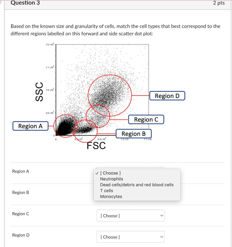 Solved Based on the known size and granularity of cells, | Chegg.com