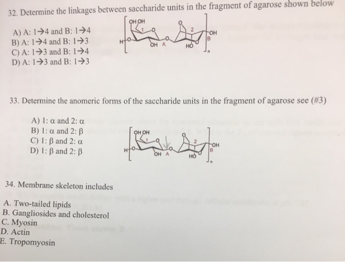 Solved 32. Determine the linkages between saccharide units | Chegg.com Solved 32. Determine the linkages between saccharide units | Chegg.com