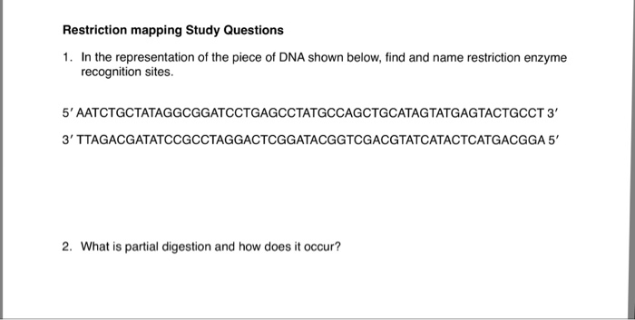 Solved Restriction mapping Study Questions 1. In the | Chegg.com