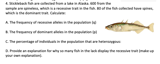Solved 4. Stickleback fish are collected from a lake in | Chegg.com