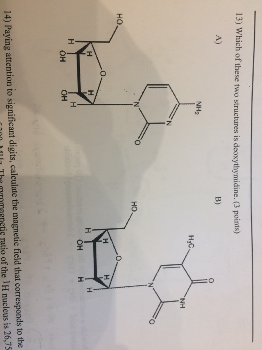 Solved 13) Which of these two structures is deoxythymidine. | Chegg.com