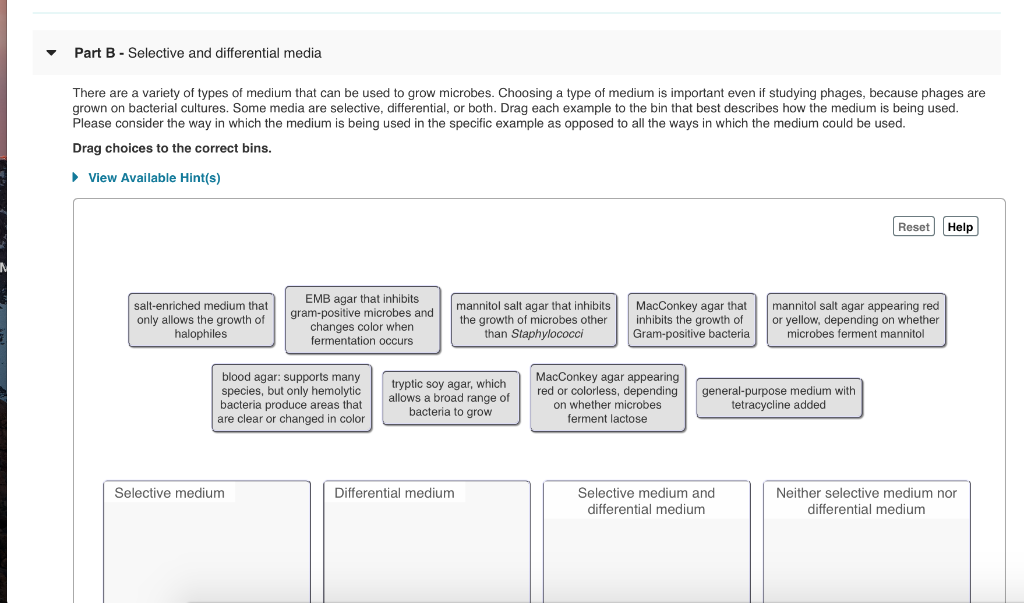 Solved Part B - Selective and differential media There are a | Chegg.com