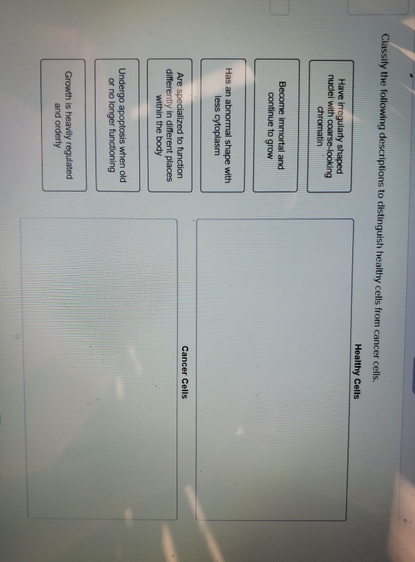 Solved Classify the following descriptions to distinguish | Chegg.com