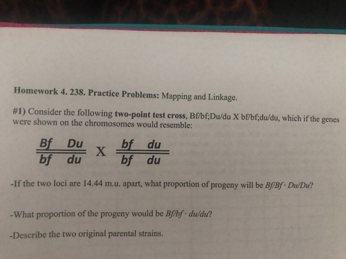 Solved Homework 4.238. Practice Problems: Mapping and | Chegg.com