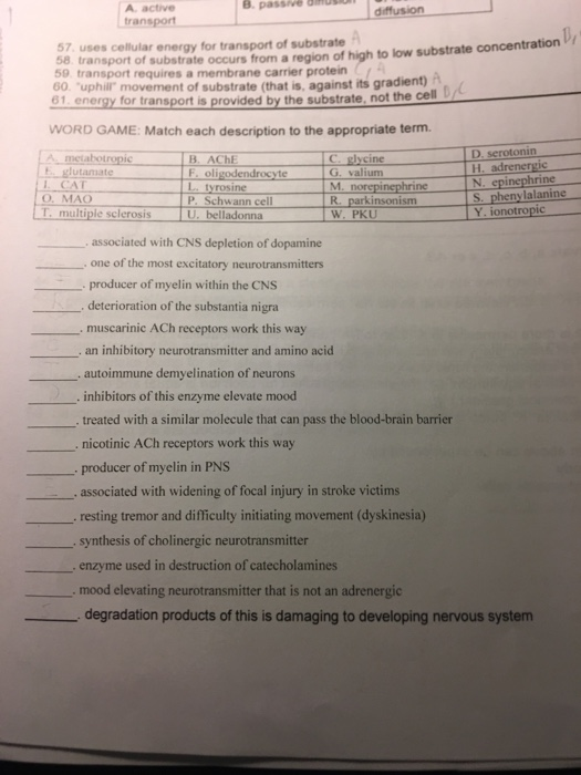 Anatomy And Physiology Archive | October 07, 2018 | Chegg.com