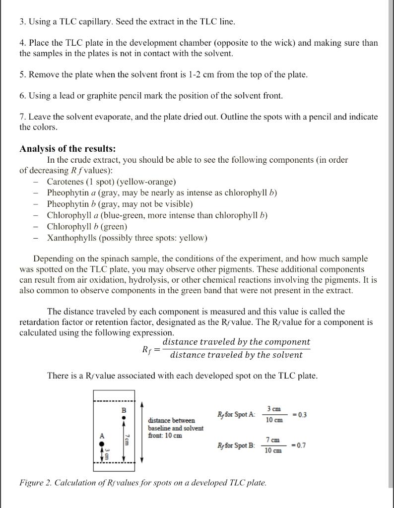Spinach Laboratory Procedure PROCEDURES Isolation of | Chegg.com