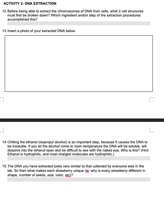 Solved ACTIVITY 2: DNA EXTRACTION 12. Before being able to | Chegg.com