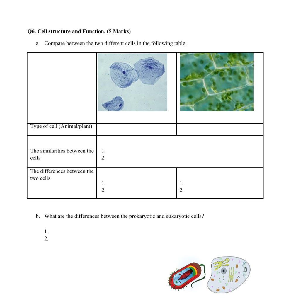 Solved Q6. Cell structure and Function. (5 Marks) a. Compare | Chegg.com
