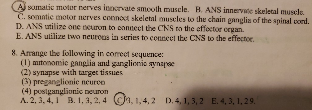 Solved A) somatic motor nerves innervate smooth muscle. B. | Chegg.com Solved A) somatic motor nerves innervate smooth muscle. B. | Chegg.com