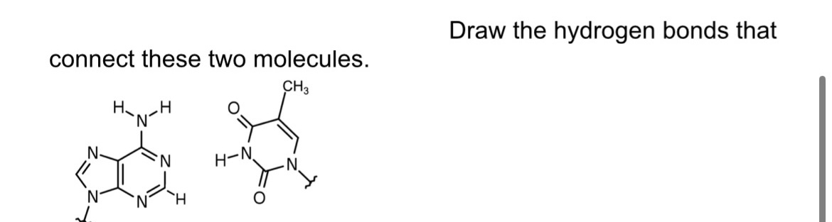 Solved Draw the hydrogen bonds that connect these two | Chegg.com