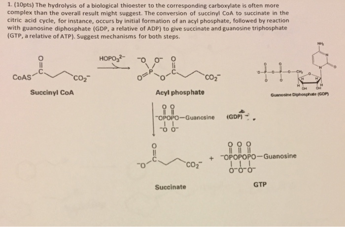 Solved 1. (10pts) The hydrolysis of a biological thioester | Chegg.com