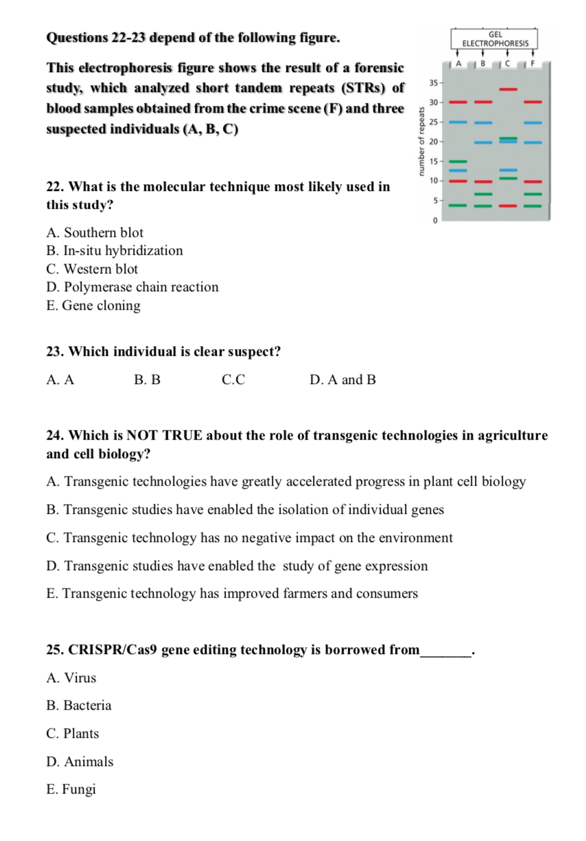 Solved GEL ELECTROPHORESIS Questions 22-23 depend of the | Chegg.com
