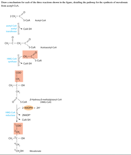 Solved Draw a mechanism for cach of the three reactions | Chegg.com