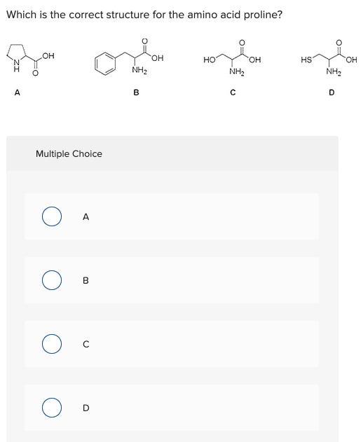 Solved Which is the correct structure for the amino acid | Chegg.com