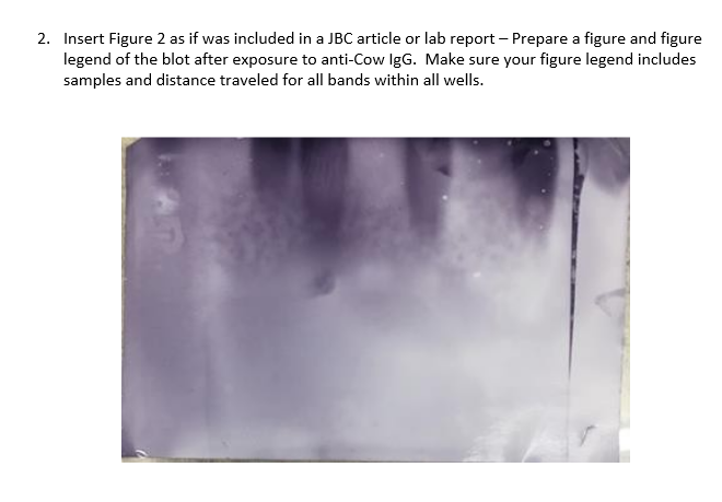 2. Insert Figure 2 as if was included in a JBC | Chegg.com