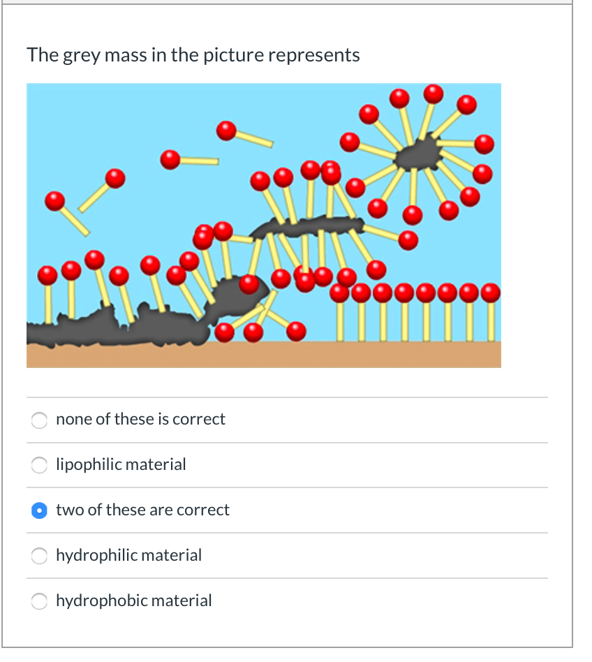 Solved The grey mass in the picture represents IVIH obog | Chegg.com