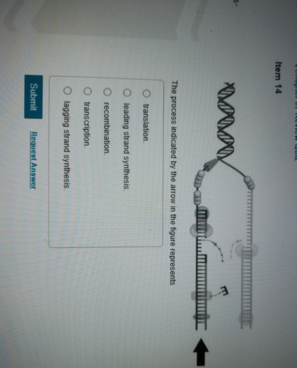 Solved Item 14 The process indicated by the arrow in the | Chegg.com