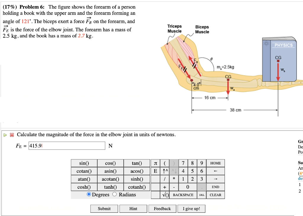 [Solved]: (17 %) Problem 6: The figure shows the forearm o