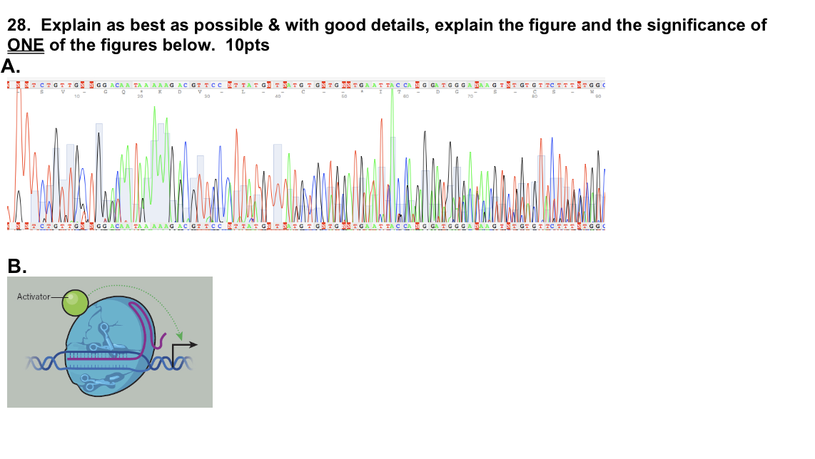 Solved Explain as best as possible & with good details. | Chegg.com