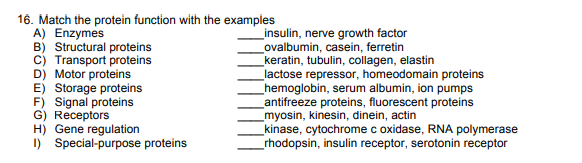 Solved 16. Match the protein function with the examples A) | Chegg.com