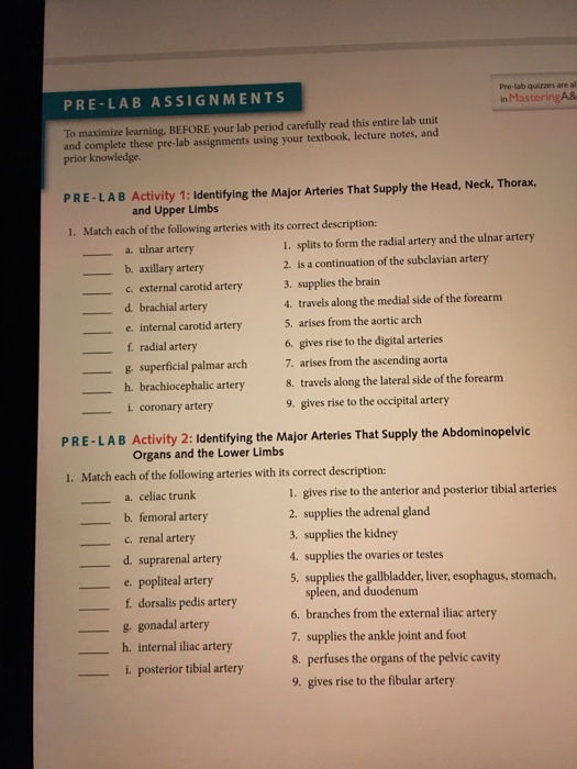 Solved Pre-lab quizzes are al in MasteringA& PRE-LAB | Chegg.com