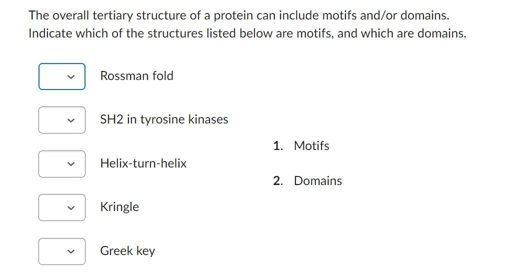 Solved How long would a 20 amino acid α-helix be? Assume an | Chegg.com