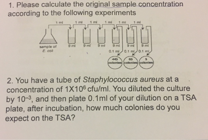 Solved Calculate the original sample concentration according | Chegg.com