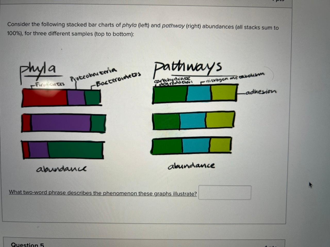 Solved Consider the following stacked bar charts of phyla | Chegg.com