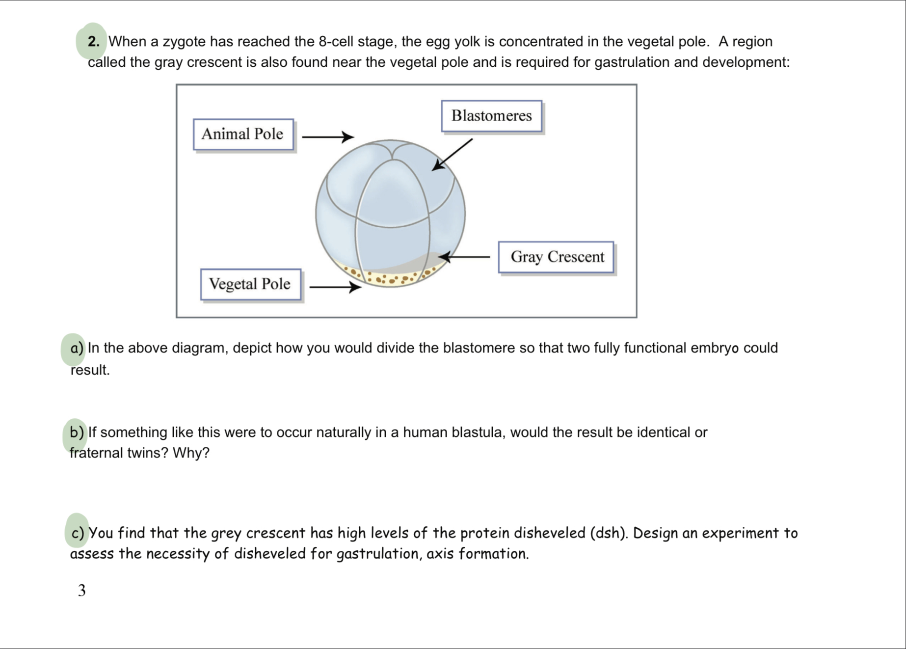 Solved Development is the process of forming a multi | Chegg.com