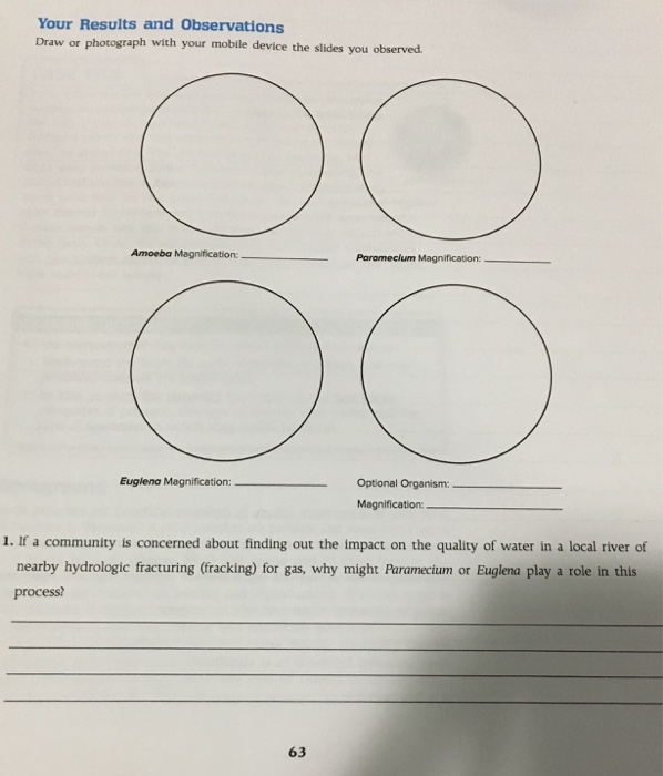 Solved Your Results and Observations photograph with your | Chegg.com
