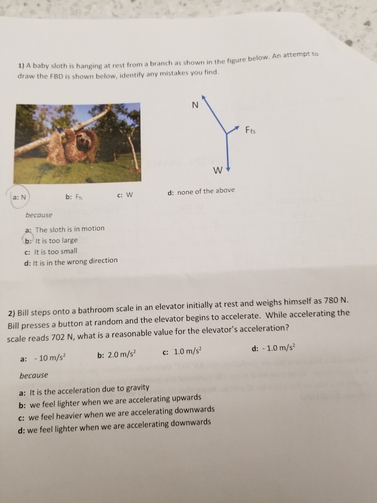 Solved 1) A baby sloth is hanging at rest from a branch as | Chegg.com