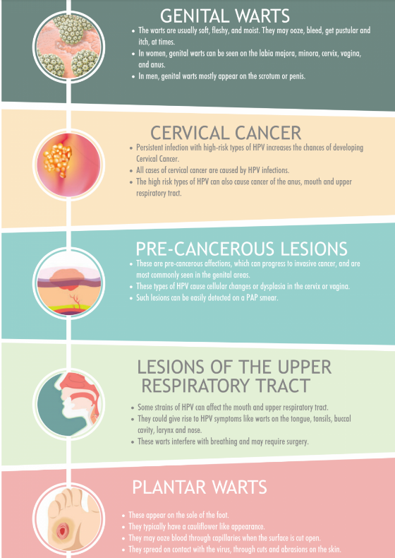 1. 1. EXPLAIN IN FULL DETAIL EACH SYSTOMS OF | Chegg.com