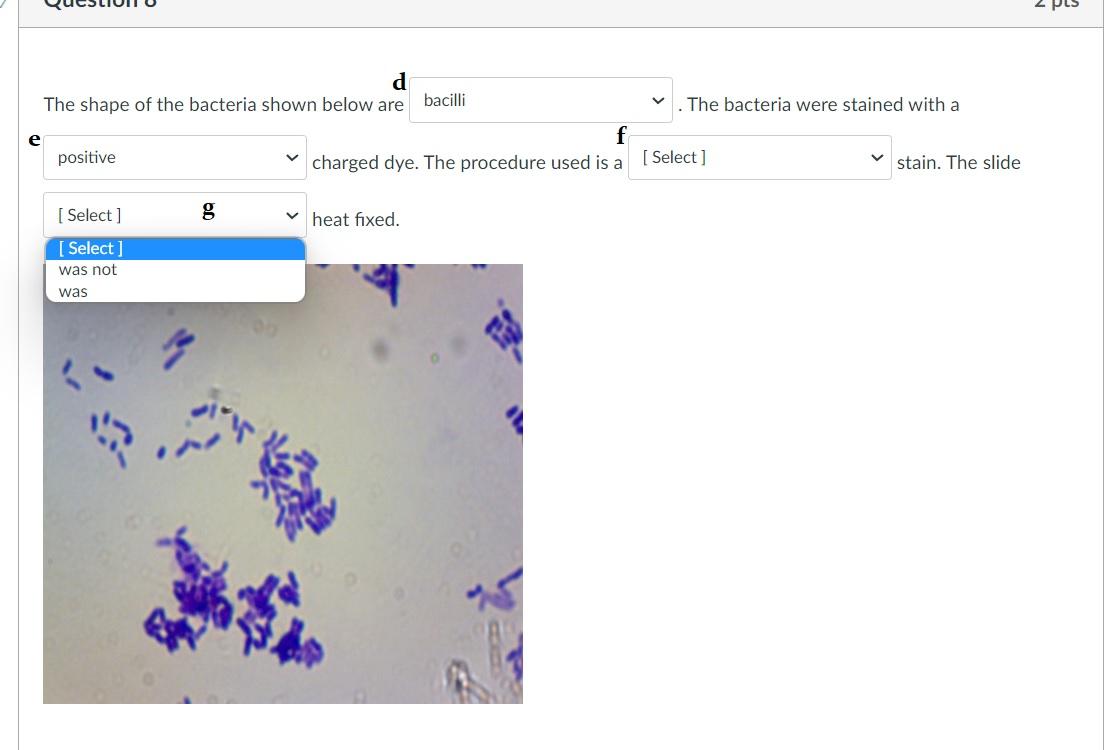 Solved hello can you help me solve this please The image | Chegg.com