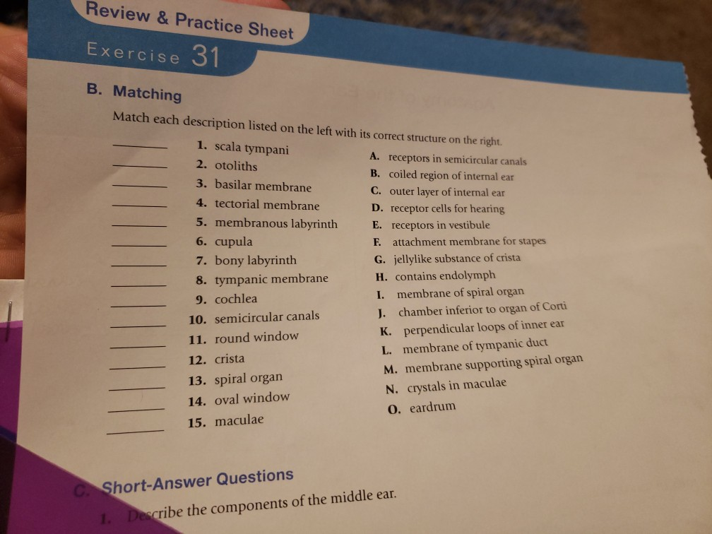 Solved Review & Practice Sheet Exercise 31 B. Matching Match | Chegg.com